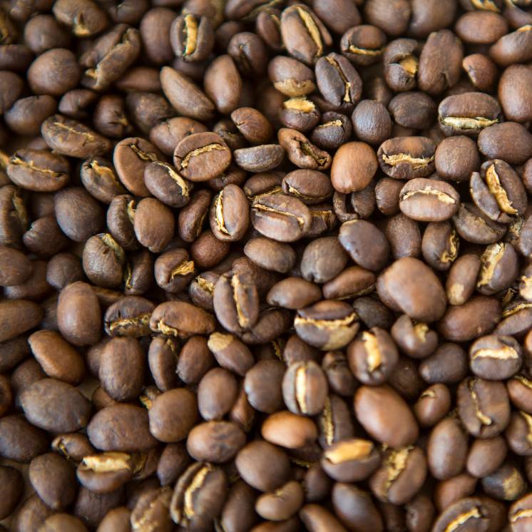 Domestique Coffee - Single Origin Beans